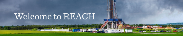 HOME - The REACH Group